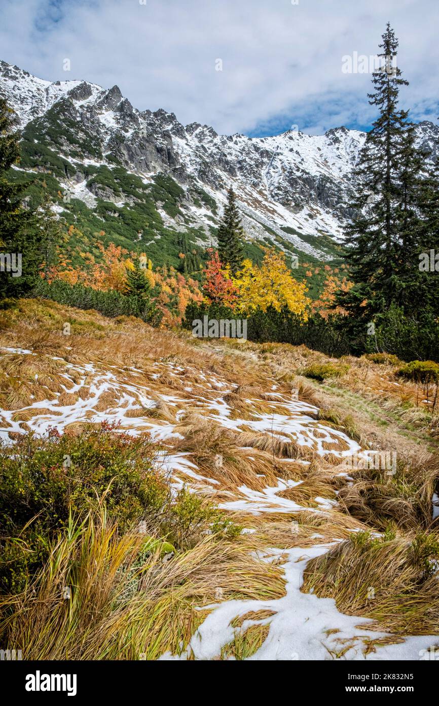 Autumn scene in Temnosmrecinska valley, High Tatras mountain, Slovak ...