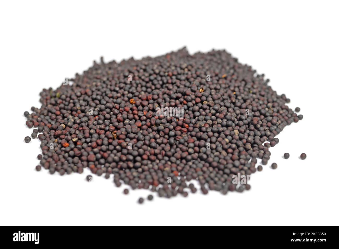 Rapeseed grains isolated against white background Stock Photo - Alamy