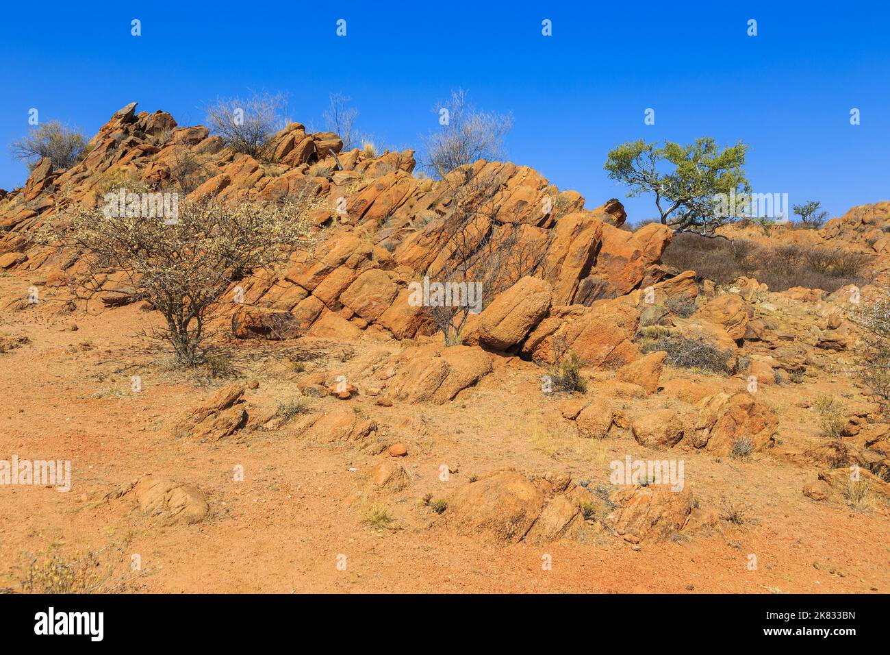 Namibian landscape. African savannah during a hot day.Red ground. Oanob ...