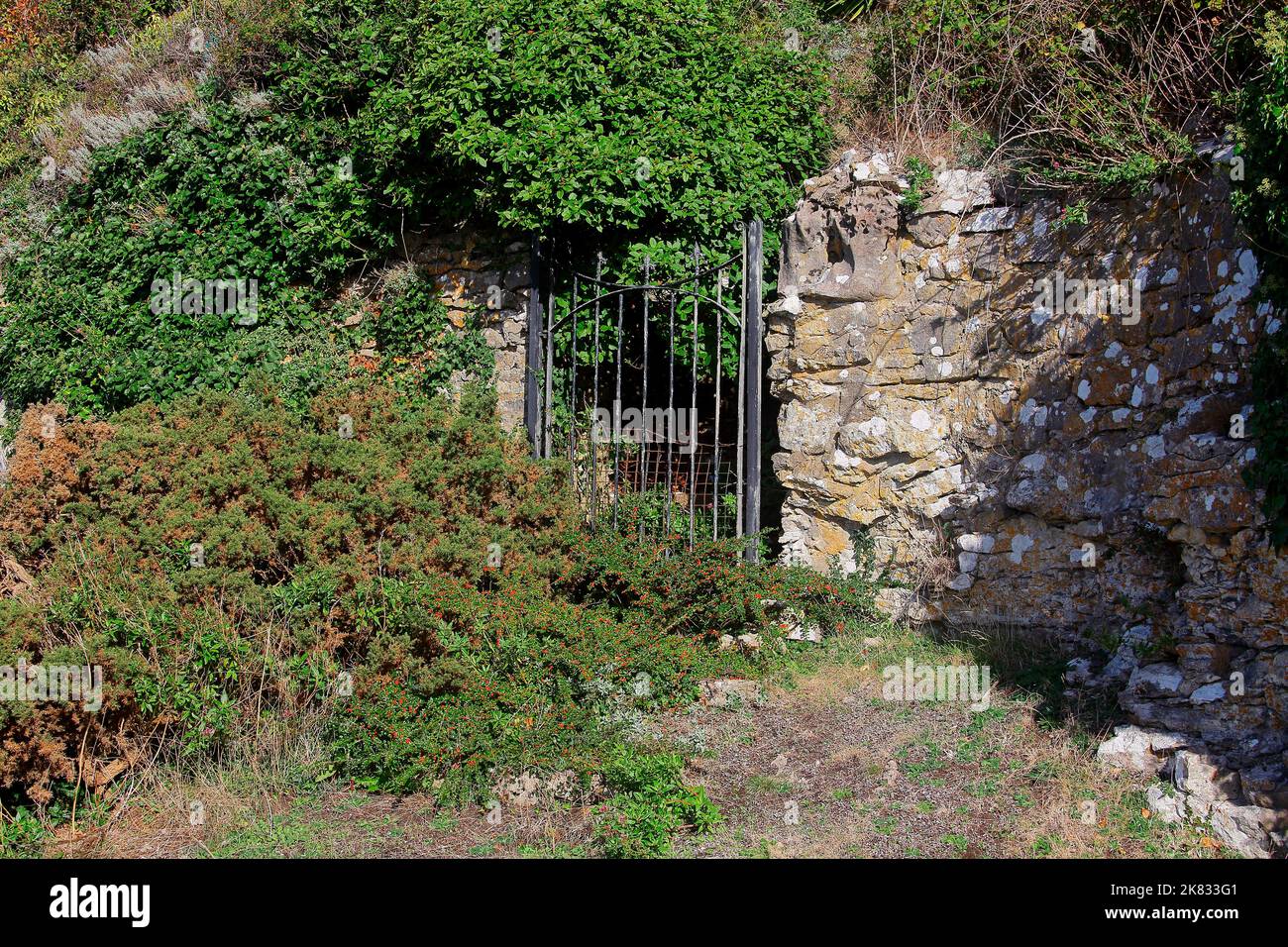 An old garden entrance slowly being reclaimed by nature with Ivy ...