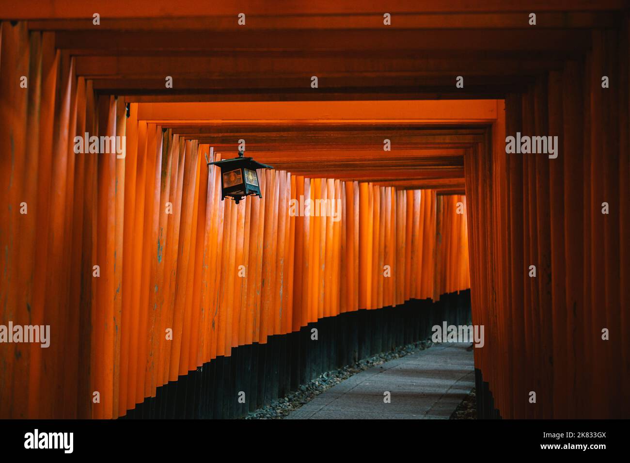 Senbon Torii, Fushimi Inari Shrine, Kyoto, Japan Stock Photo - Alamy