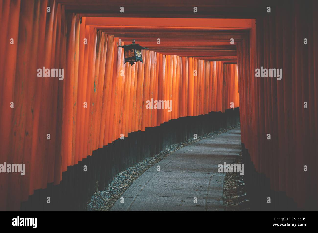 Senbon torii hi-res stock photography and images - Alamy