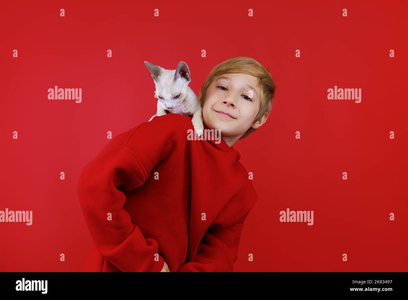 caring boy loves his kitten that climbs on his shoulders Stock Photo ...