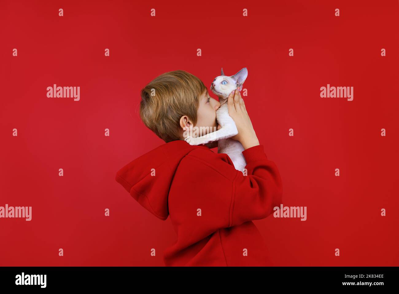 A cheerful boy in a red suit comes over a small white cat to his face ...