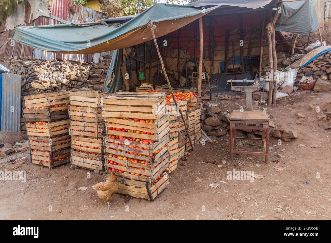 Tomato stall at a market in Gondar, Ethiopia Stock Photo - Alamy