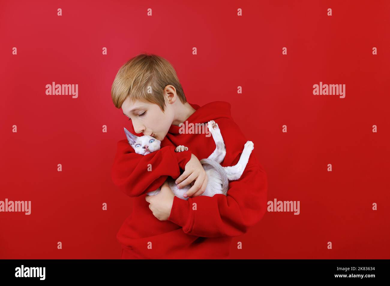 the boy loves his kitten holds him in his arms and hugs Stock Photo - Alamy