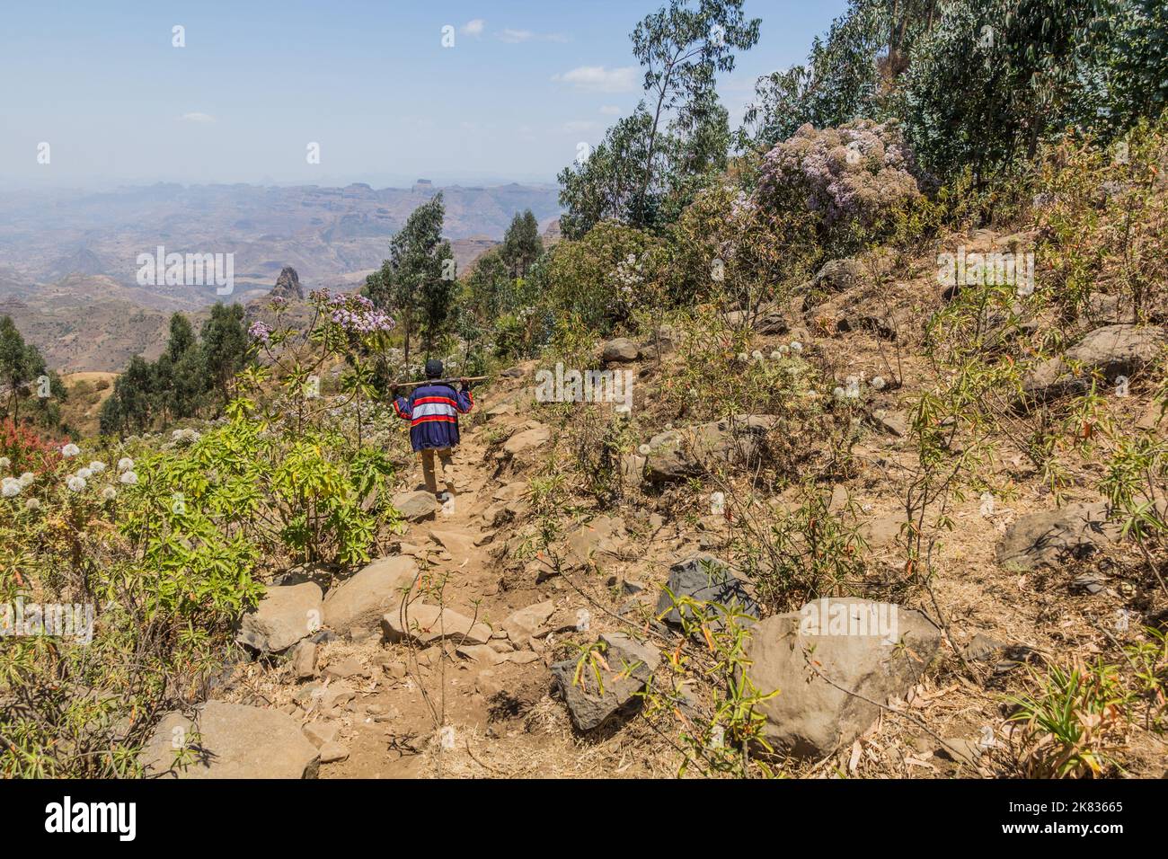 Armed scout in the mountains near Kosoye village, Ethiopia Stock Photo ...