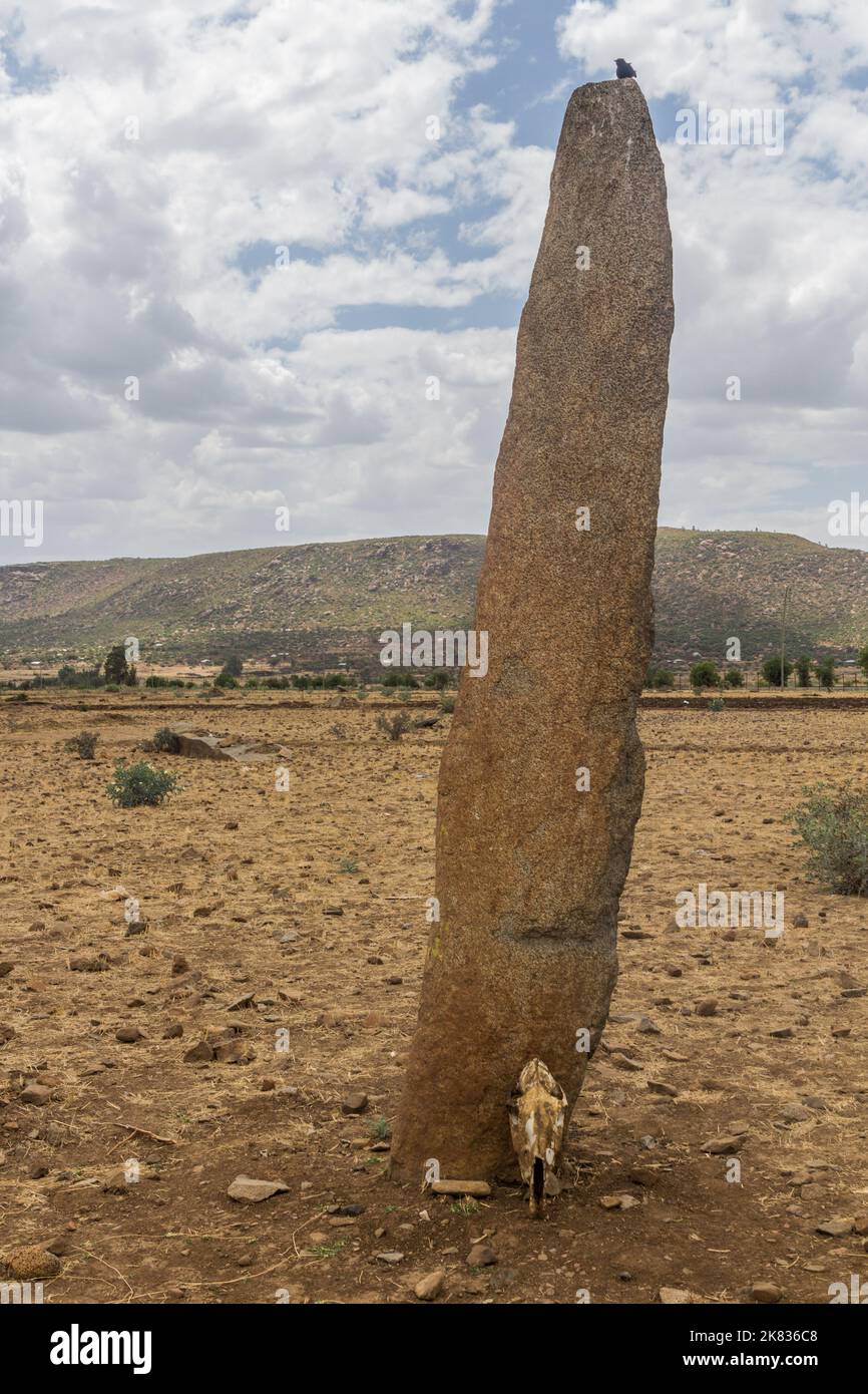 In the stele field hi-res stock photography and images - Alamy