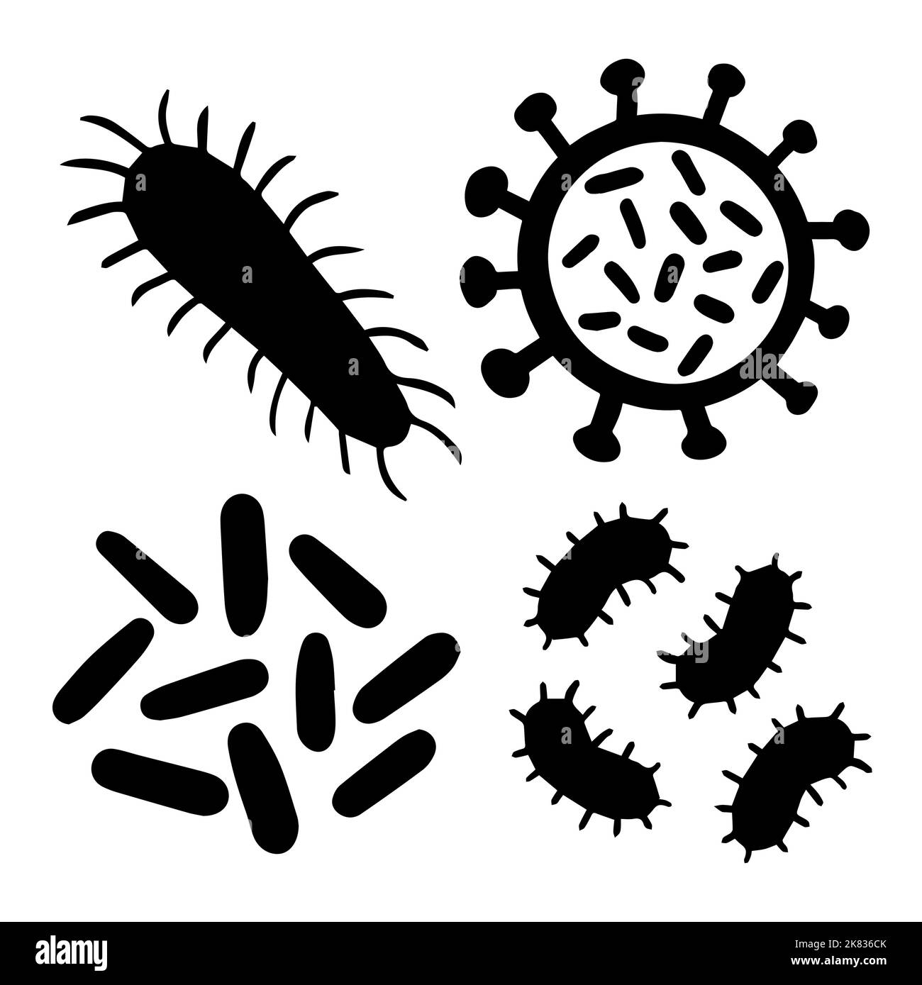 Coccus vibrio hi-res stock photography and images - Alamy