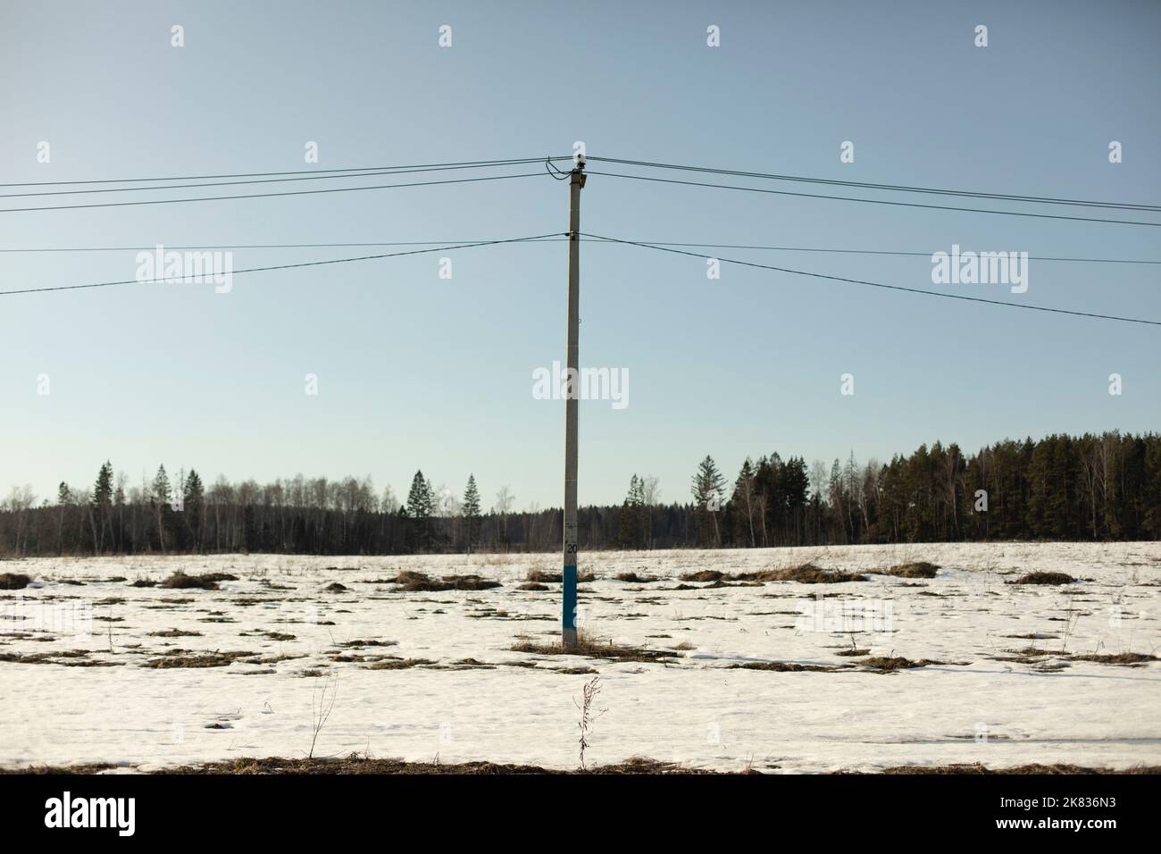 Electrical wires and pole. City light. Electric infrastructure in city ...