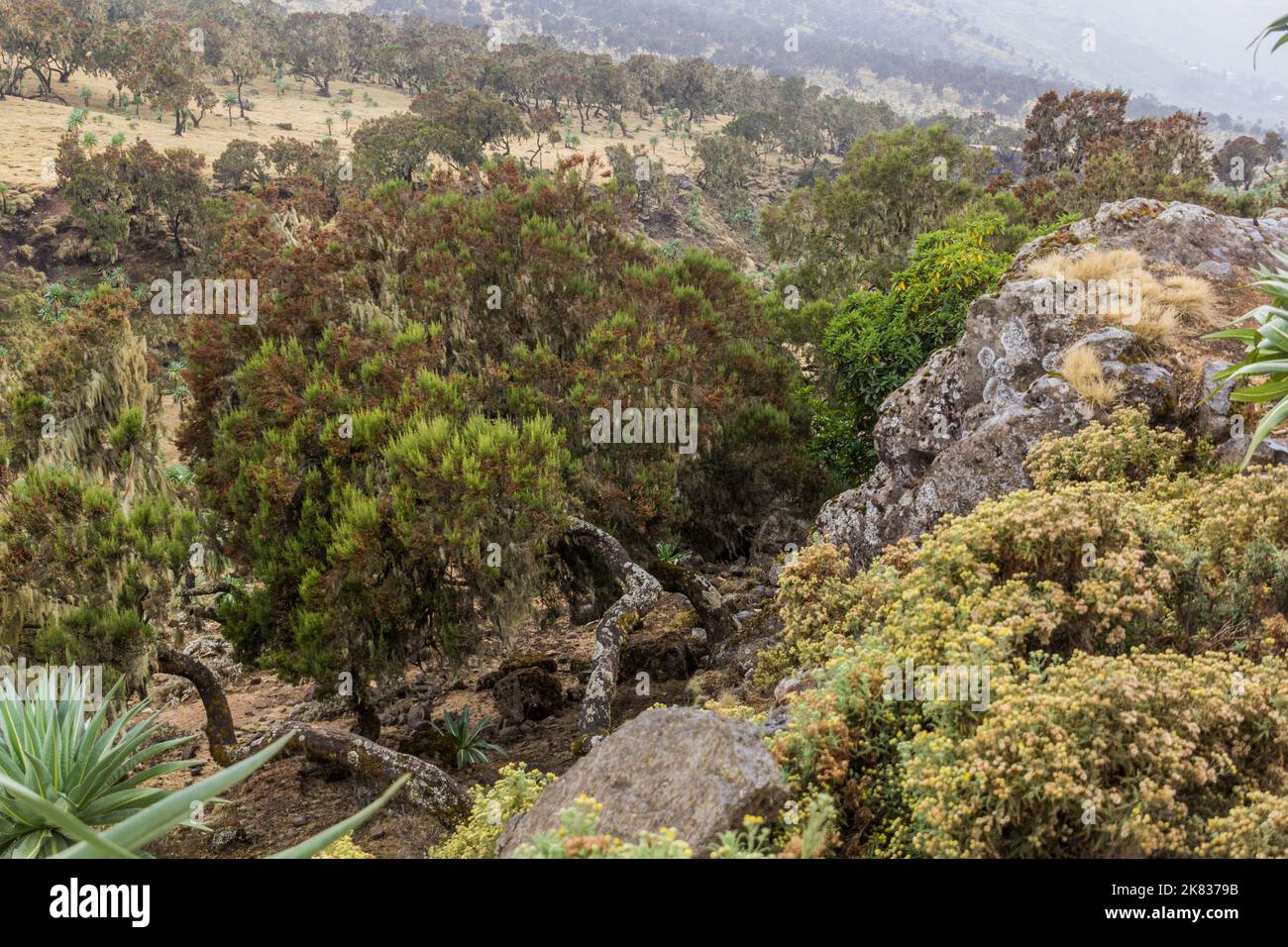 Landscape of Simien mountains, Ethiopia Stock Photo - Alamy