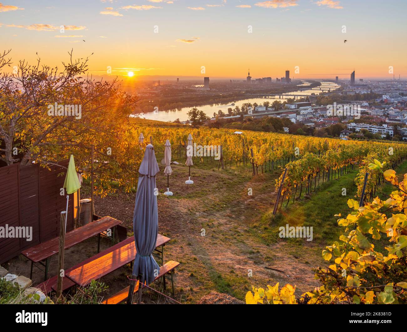 Wien, Vienna: sunrise at Vienna, vineyards, river Donau (Danube), tower ...