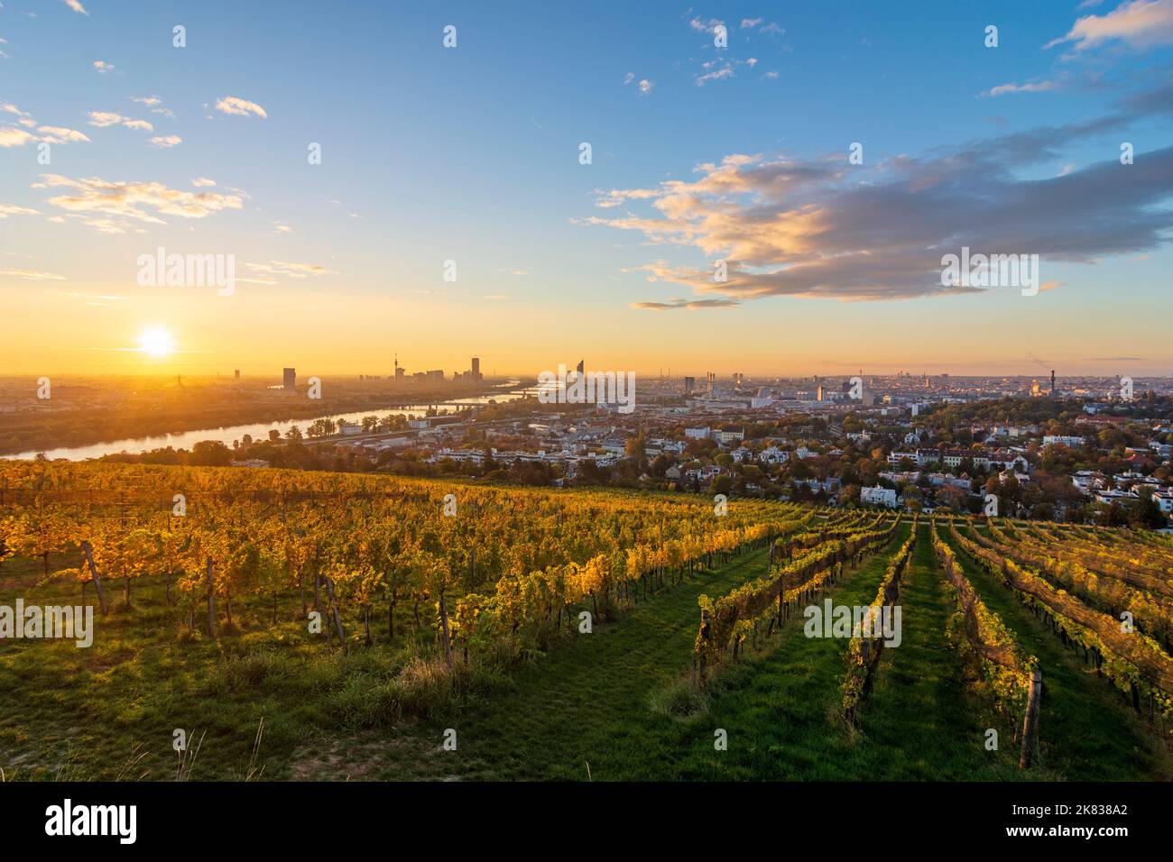 Wien, Vienna: sunrise at Vienna, vineyards, river Donau (Danube), tower ...