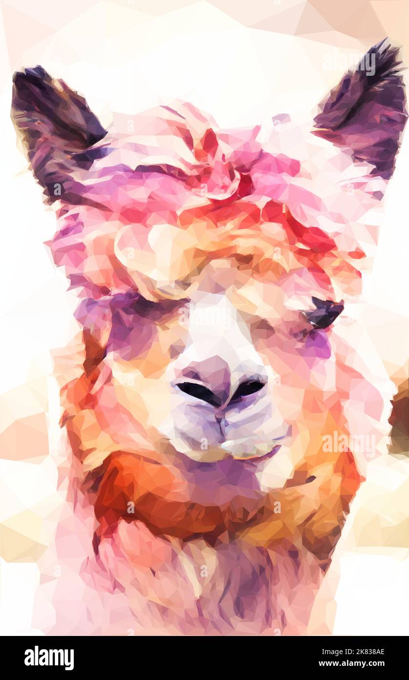 Alpaca face illustration. Fluffy fur with pink strands. Vector in low ...