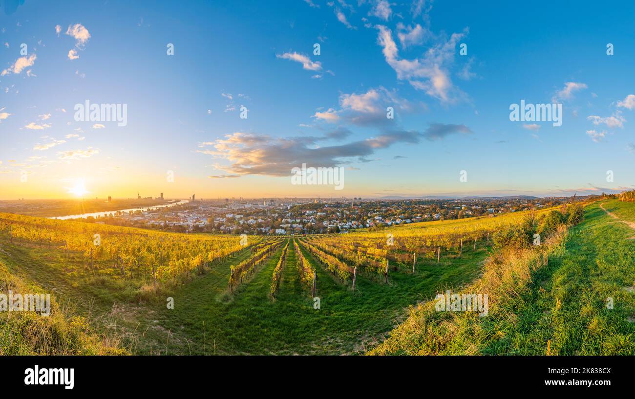 Wien, Vienna: sunrise at Vienna, vineyards, river Donau (Danube), tower ...
