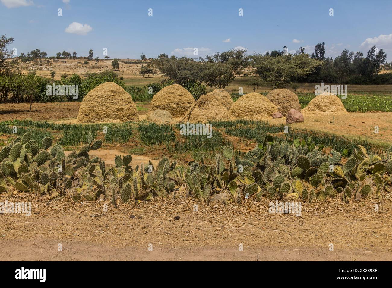 Rural landscape of Tigray region, Ethiopia Stock Photo - Alamy