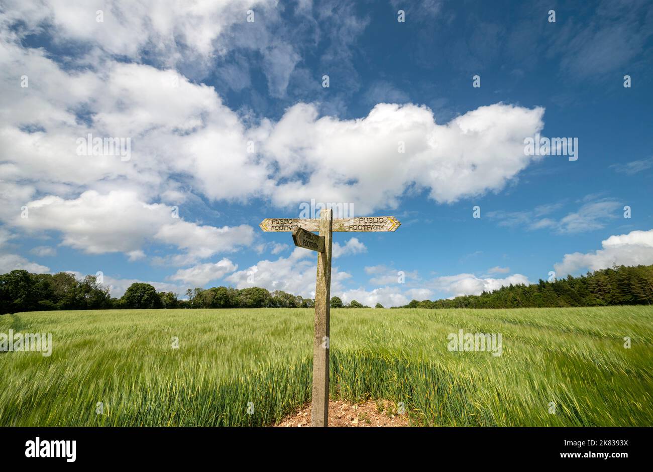 Public field hi-res stock photography and images - Alamy
