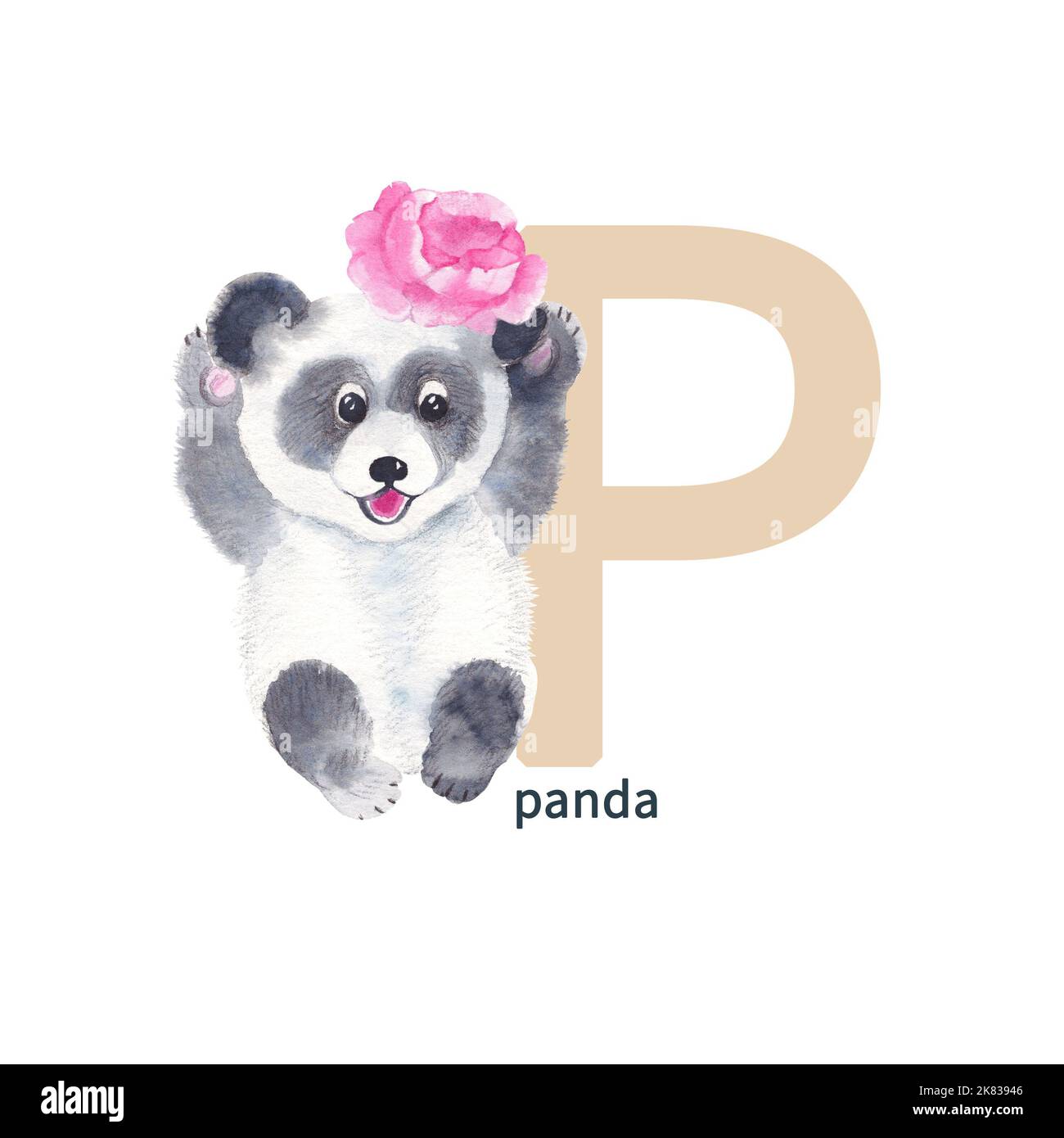 Letter P, panda with peony, cute kids animal ABC alphabet. Watercolor ...