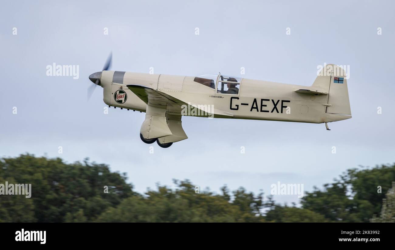 Percival Mew Gull ‘G-AEXF’ airborne at the Race Day airshow held at ...