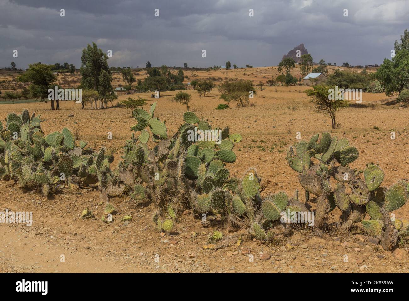 Rural landscape of Tigray region, Ethiopia Stock Photo - Alamy