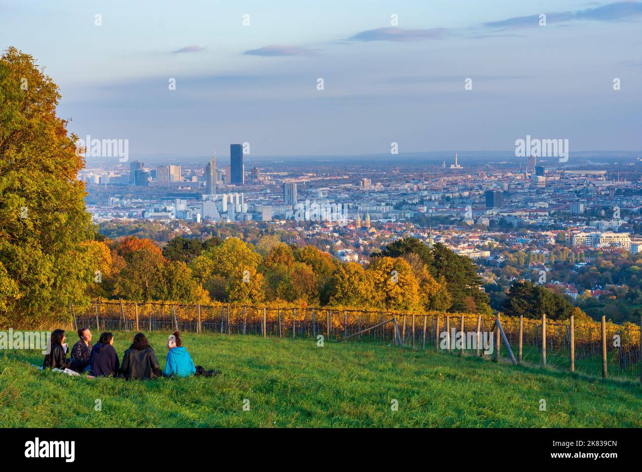 Wien, Vienna: meadow Bellevuewiese, vineyard, autumn colors, view to ...