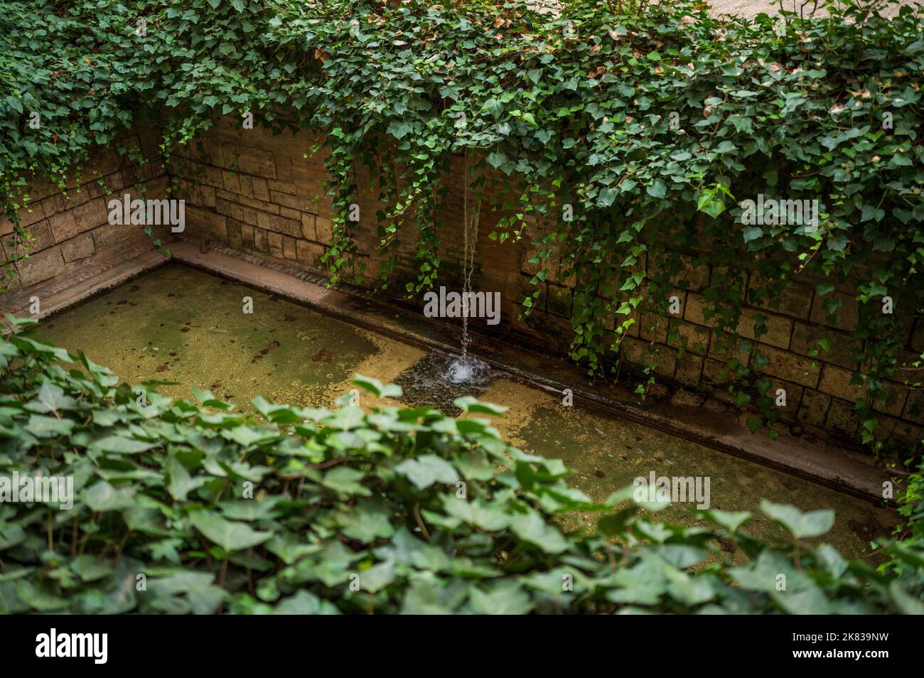 The Aljaferia Palace is a fortified medieval palace built during the ...