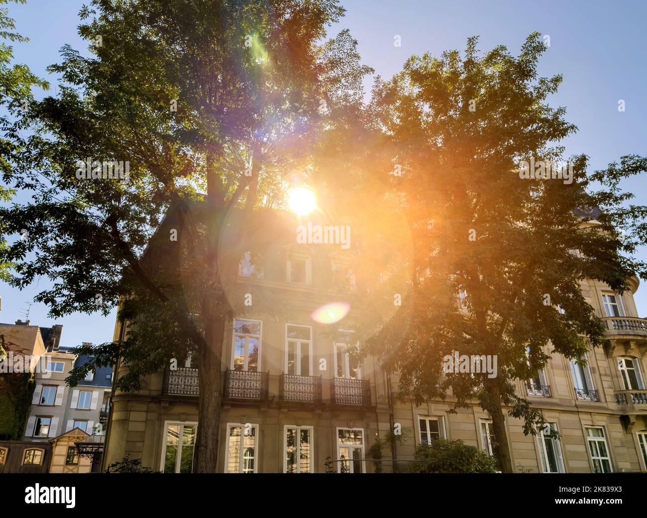 Sunlight flare seen through trees with luxury real estate french ...