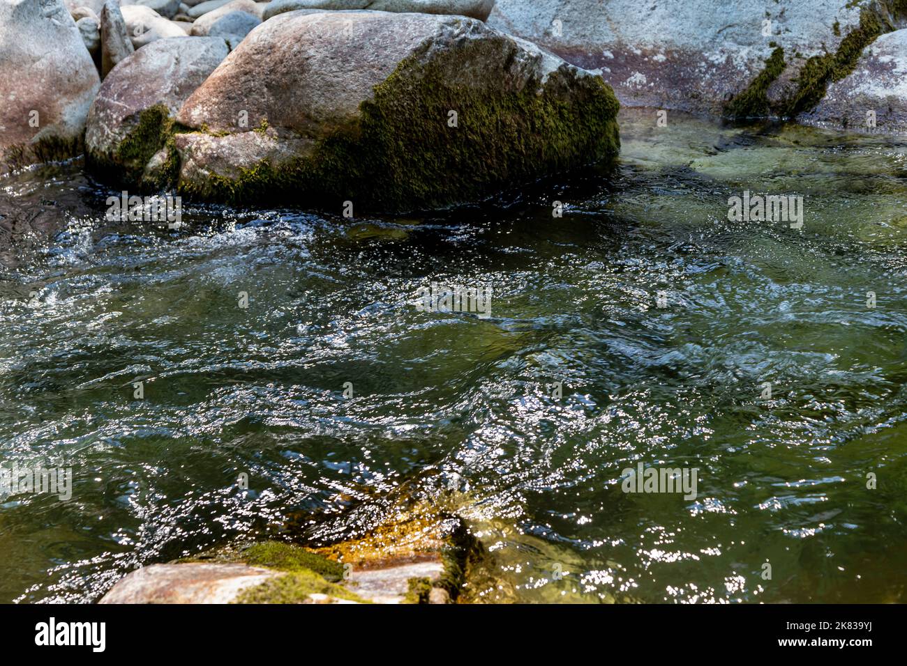 Landscape on the upper course of the river Gilort, Gorj, Romania ...