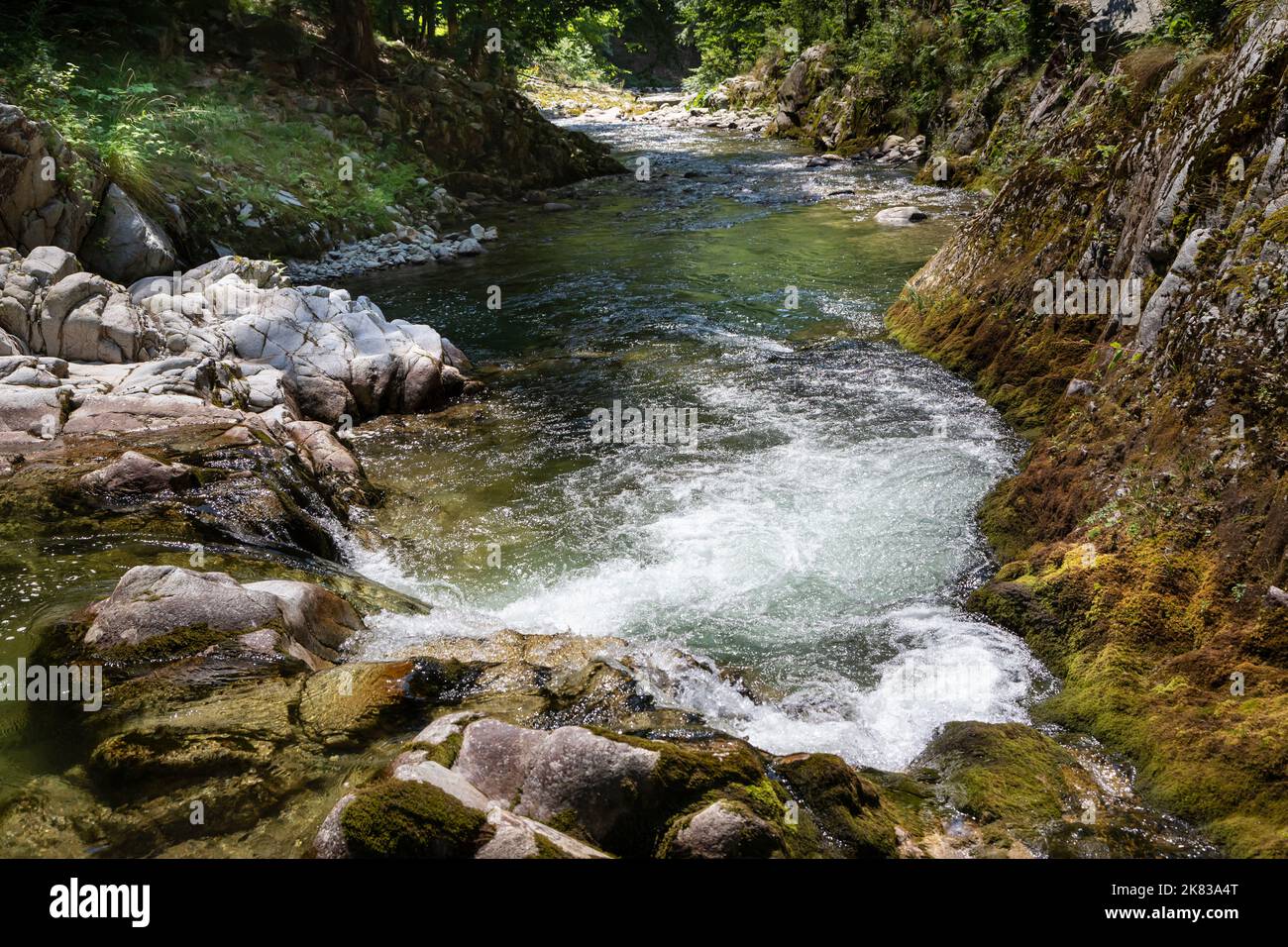 Landscape on the upper course of the river Gilort, Gorj, Romania ...