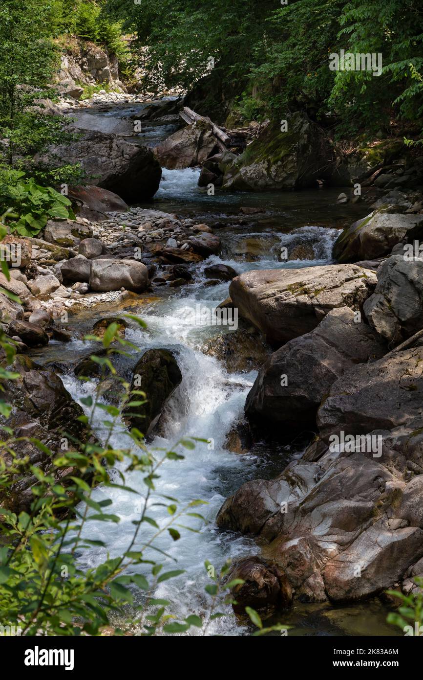Landscape on the upper course of the river Gilort, Gorj, Romania ...