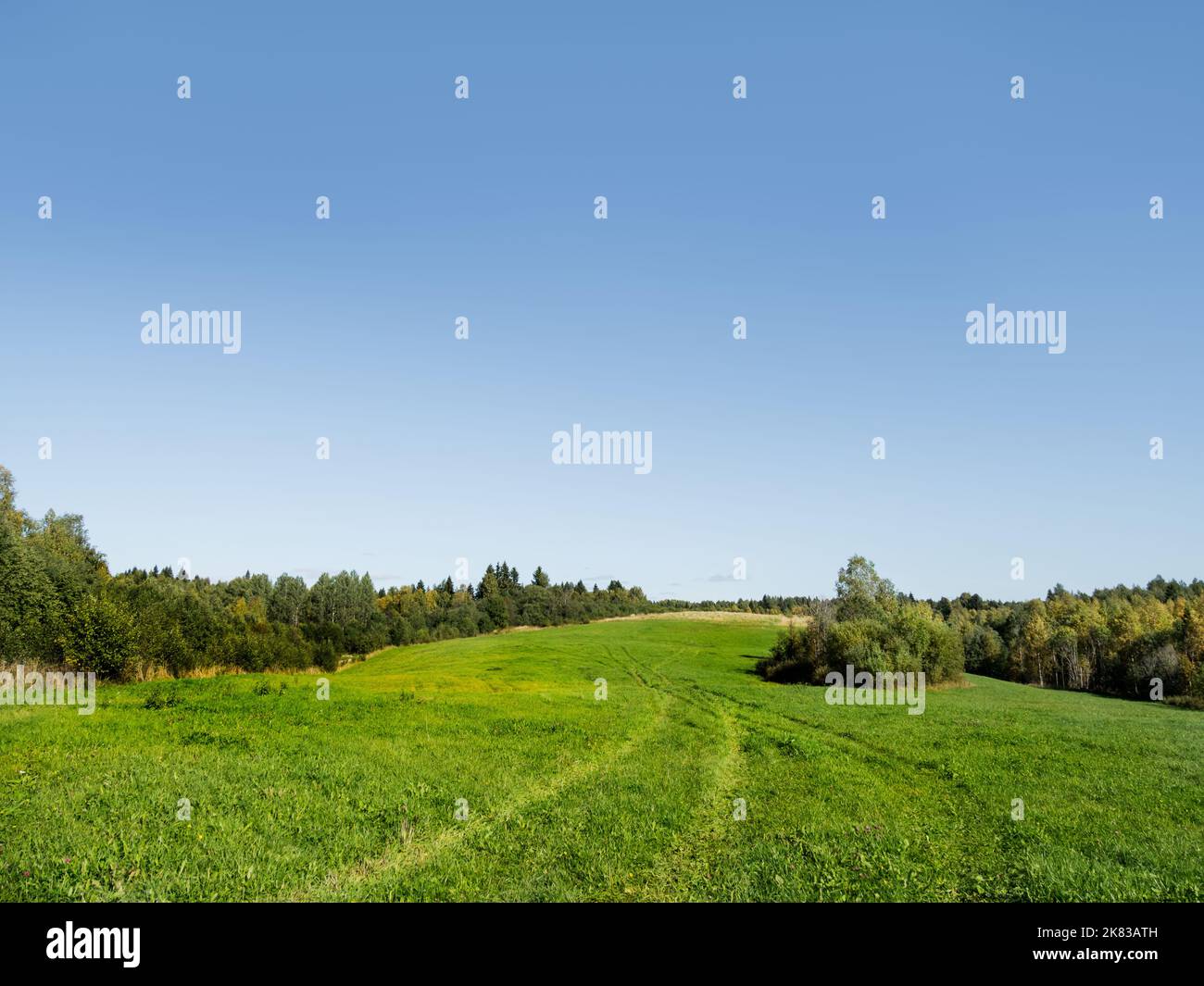 Natural summer background with green grass field and clear blue sky ...