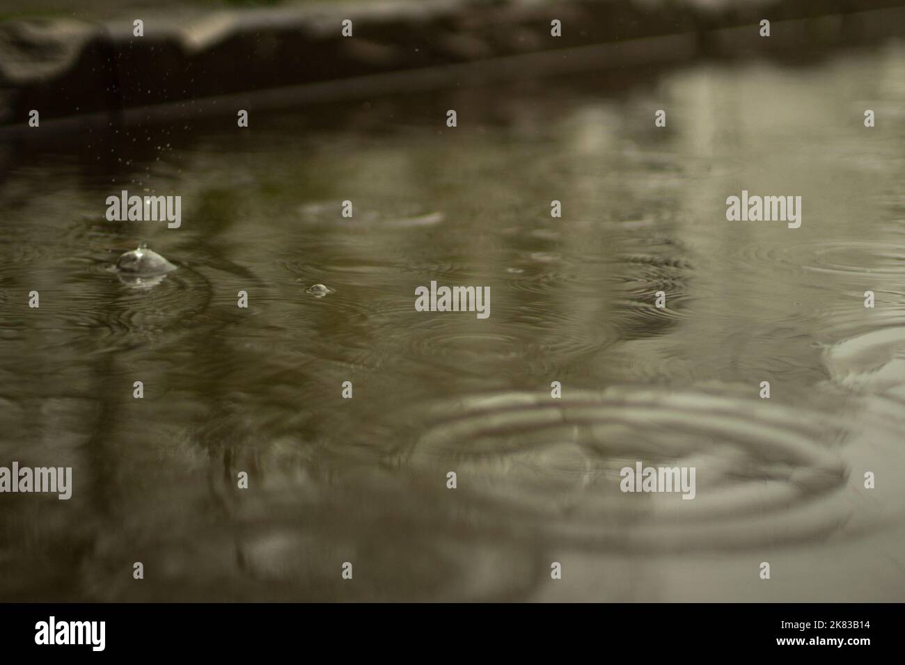 Rain outside. Large puddle in yard. Wet weather. Surface of puddle ...