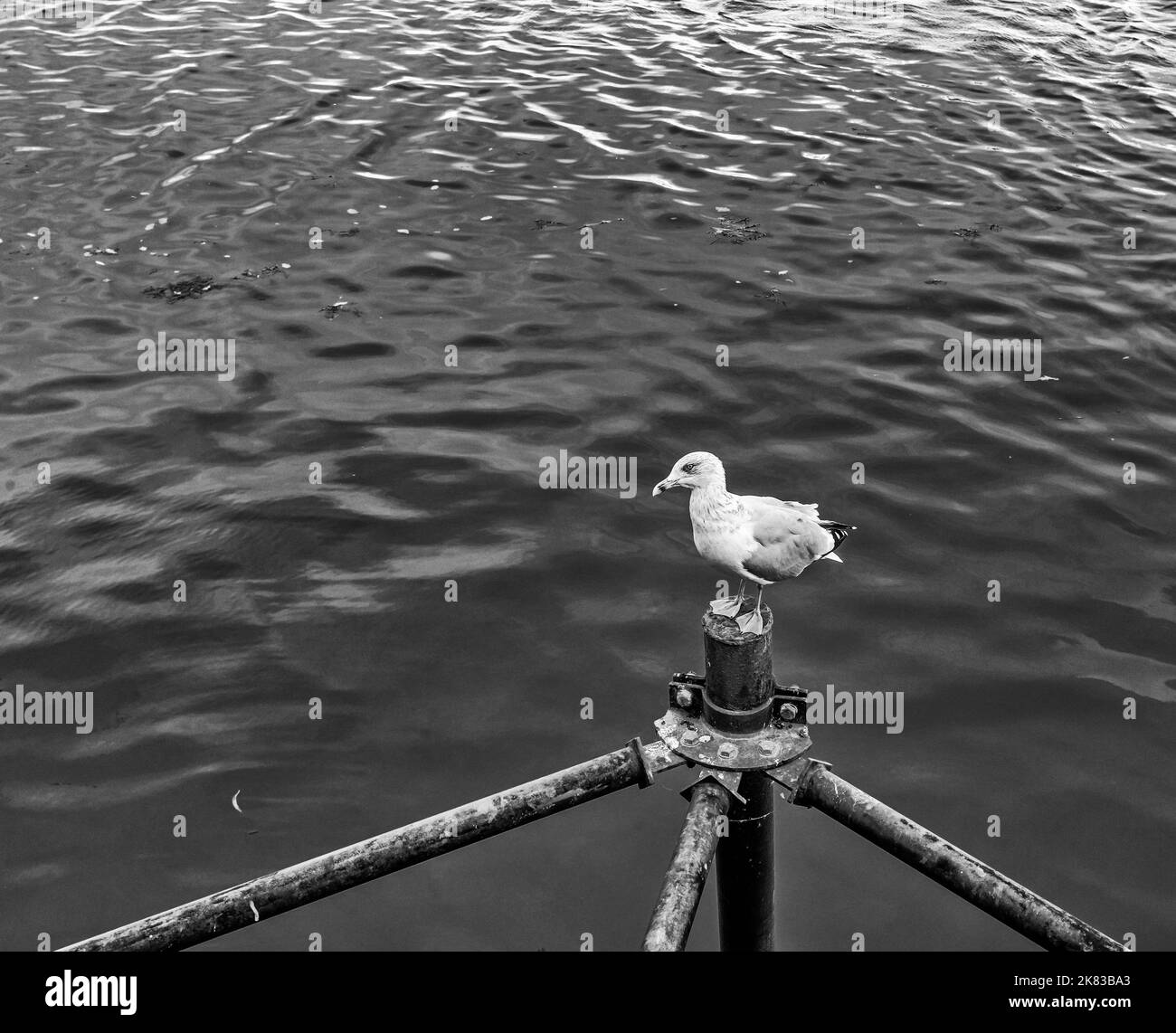 Stanchion hi-res stock photography and images - Alamy