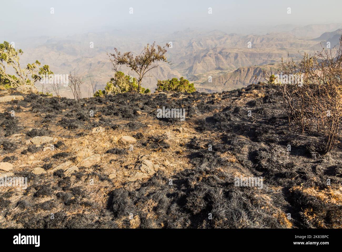 Burned land after a wild fire in Simien mountains, Ethiopia Stock Photo ...