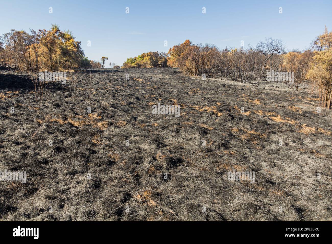 Burned land after a wild fire in Simien mountains, Ethiopia Stock Photo ...