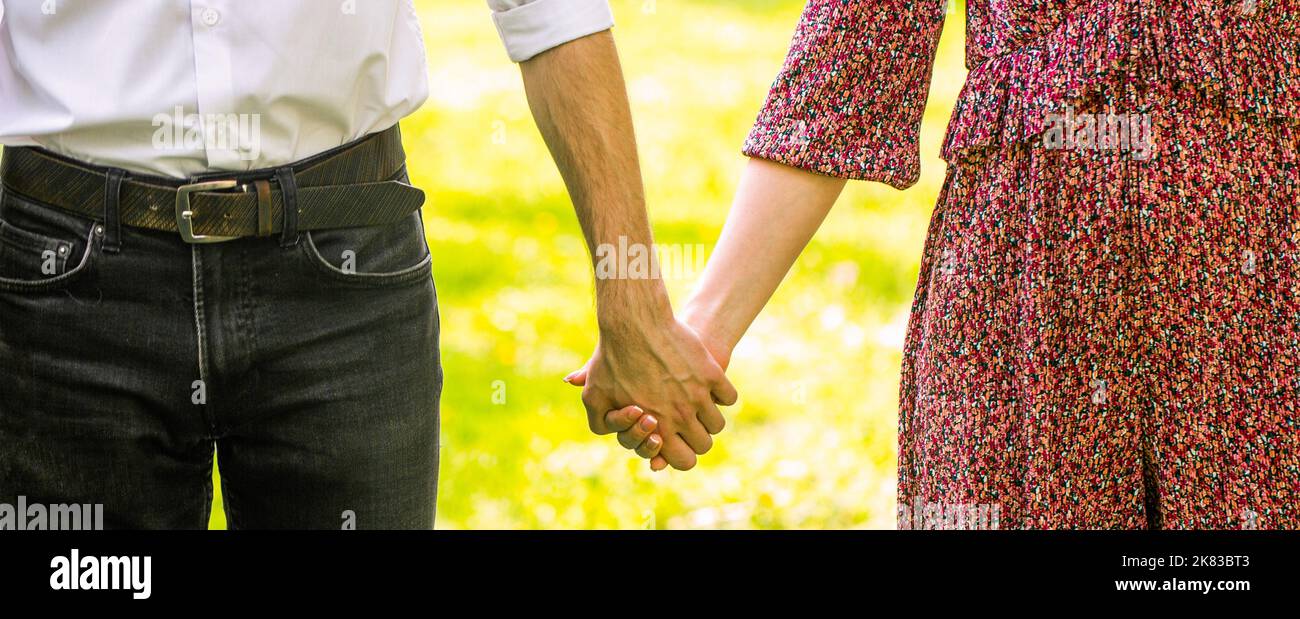 Couplesholding hand. ouple in love walking in the park holding hand ...