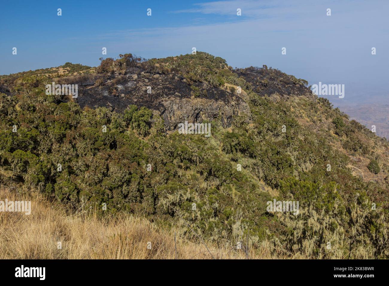 Burned land after a wild fire in Simien mountains, Ethiopia Stock Photo ...