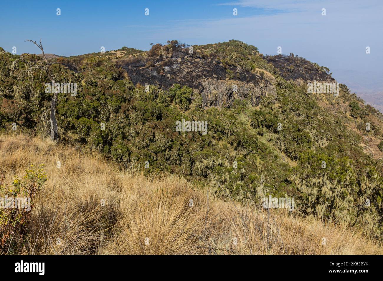 Burned land after a wild fire in Simien mountains, Ethiopia Stock Photo ...