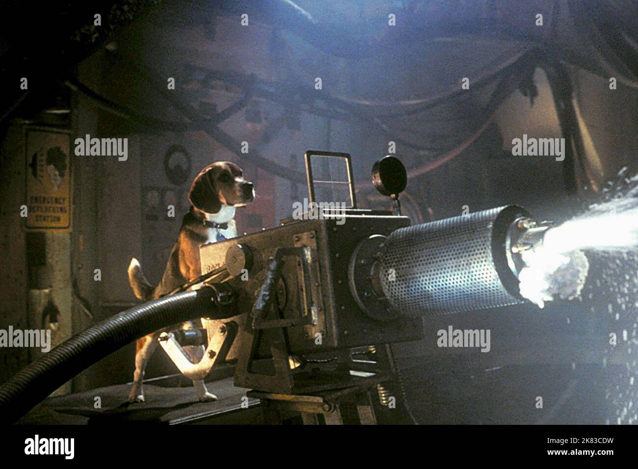 Lou Film: Cats & Dogs (2001) Director: Lawrence Guterman 01 February ...