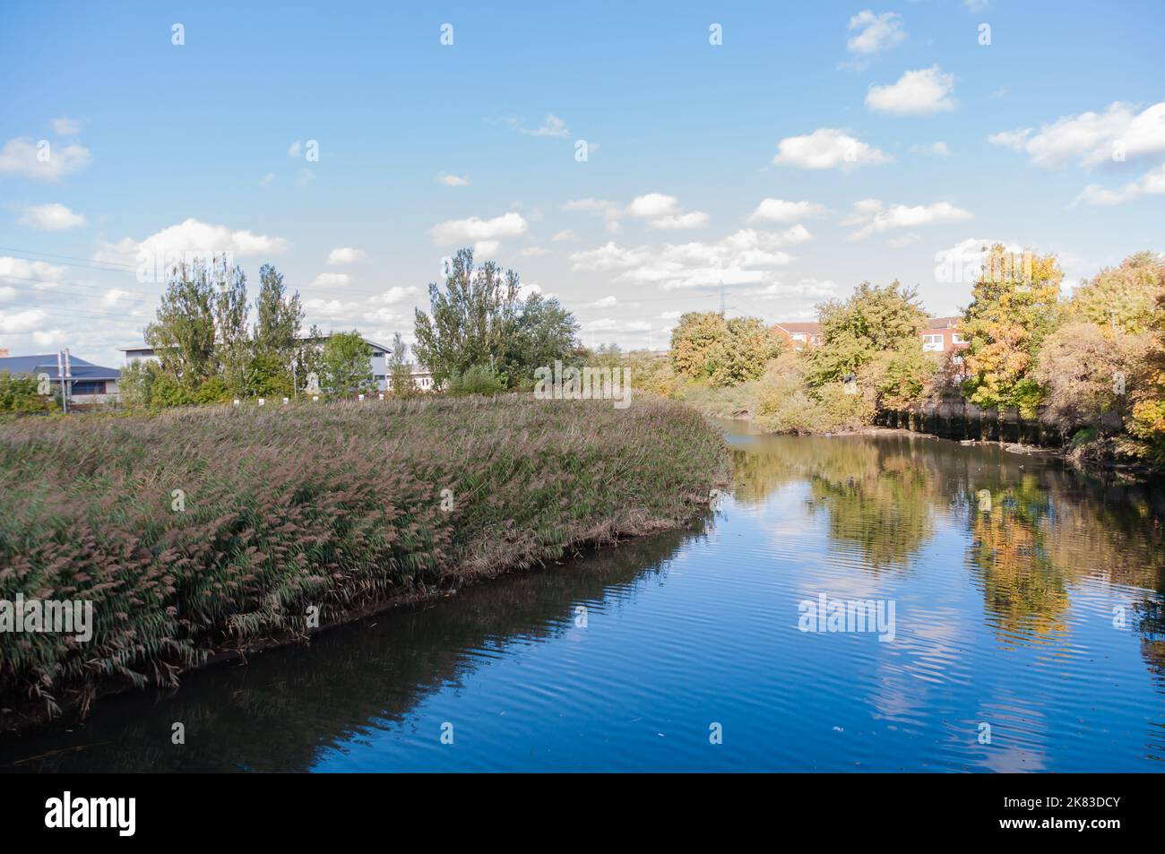 Roding river uk hi-res stock photography and images - Alamy