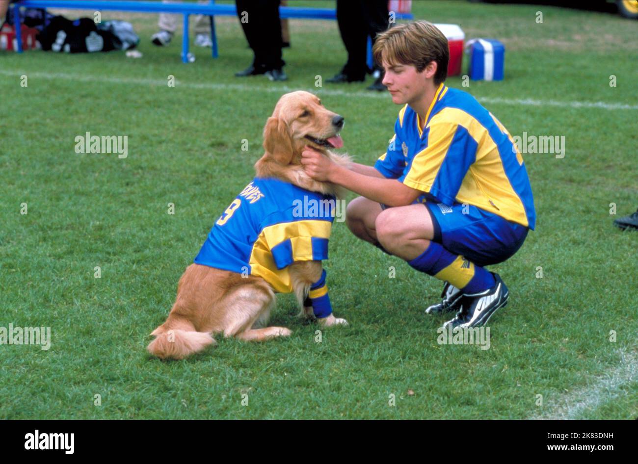 Air Bud World Pup Josh