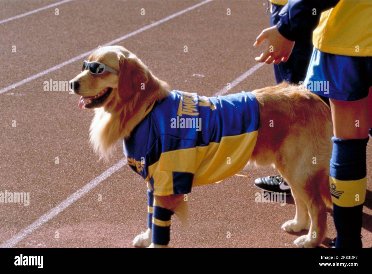Air Bud World Pup Josh
