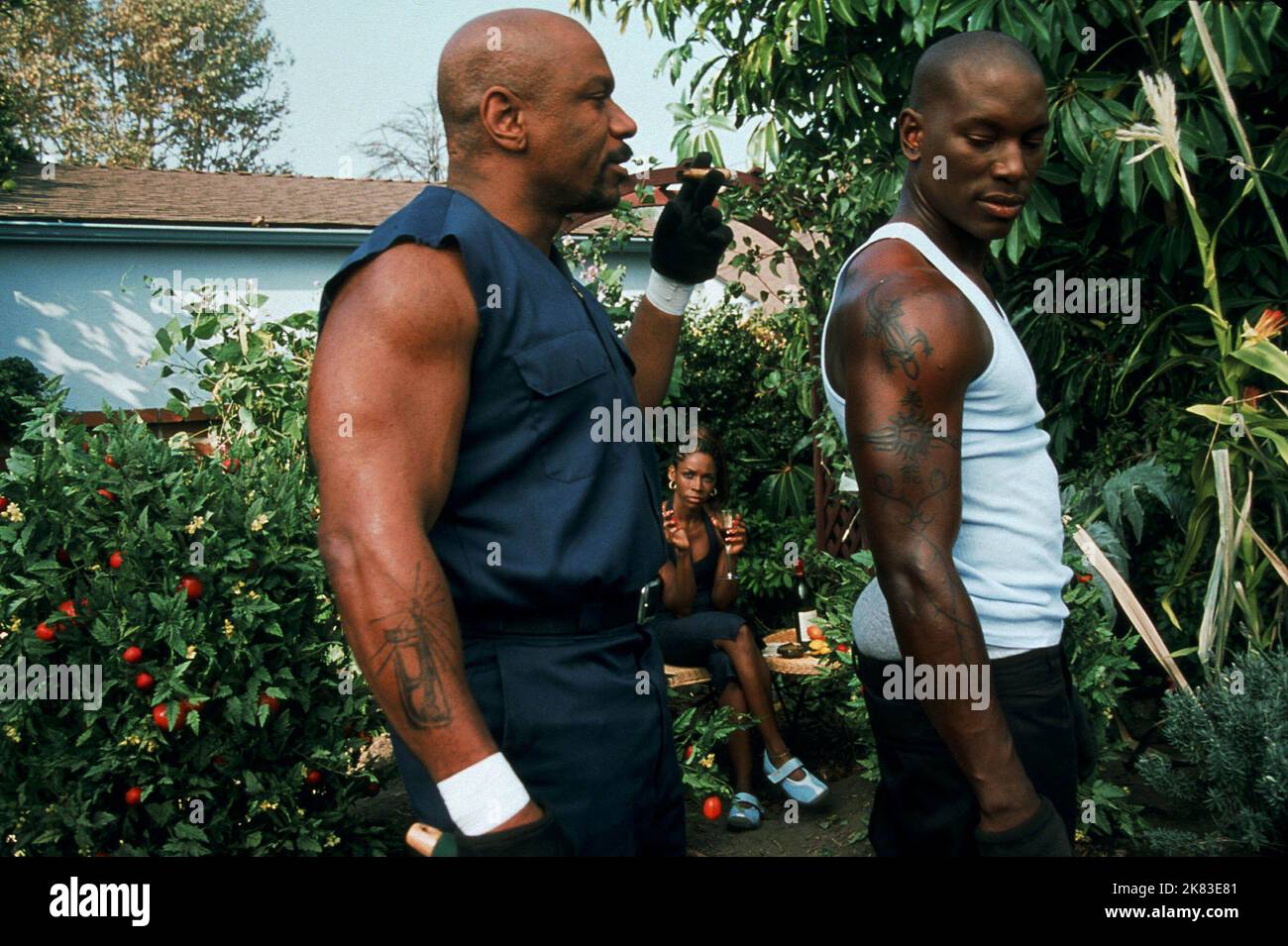 Ving Rhames Body Ving Rhames Actor Filmography، Photos، Video