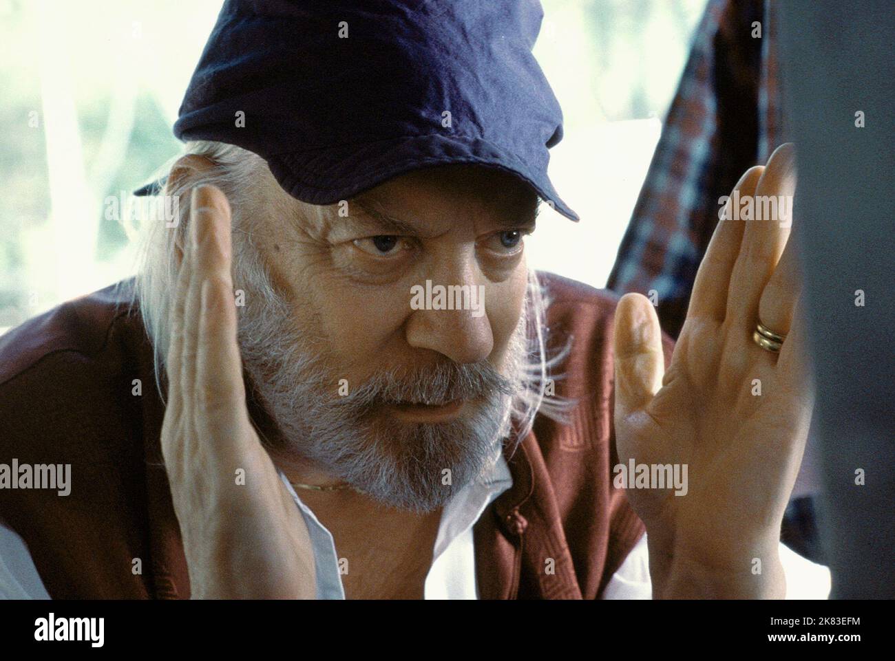 Donald Sutherland Film: Big Shot'S Funeral; Dan Wan (2001) Characters ...