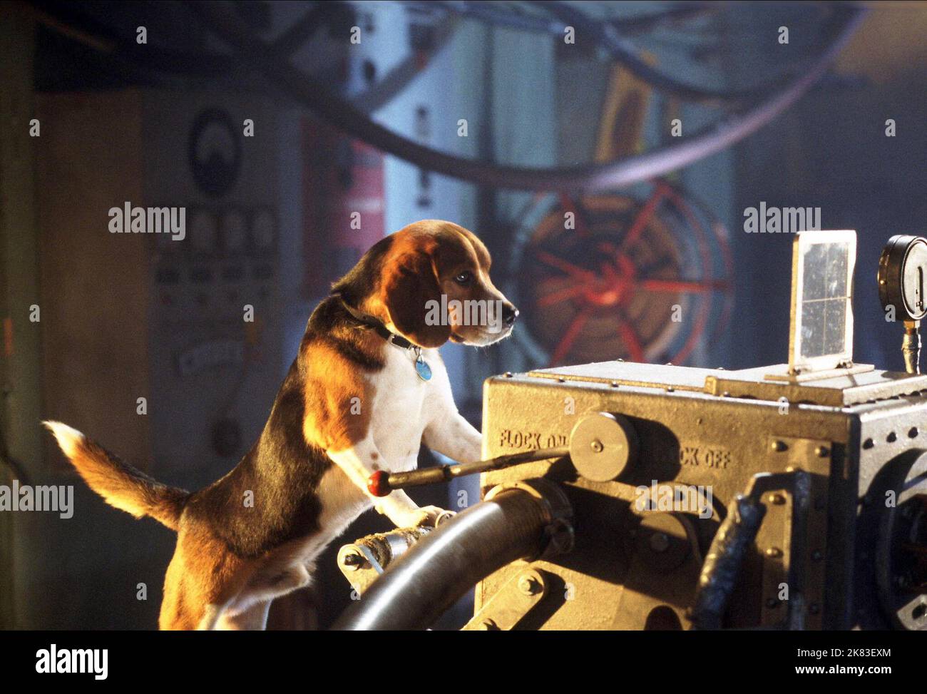 Lou Film: Cats & Dogs (2001) Director: Lawrence Guterman 01 February ...