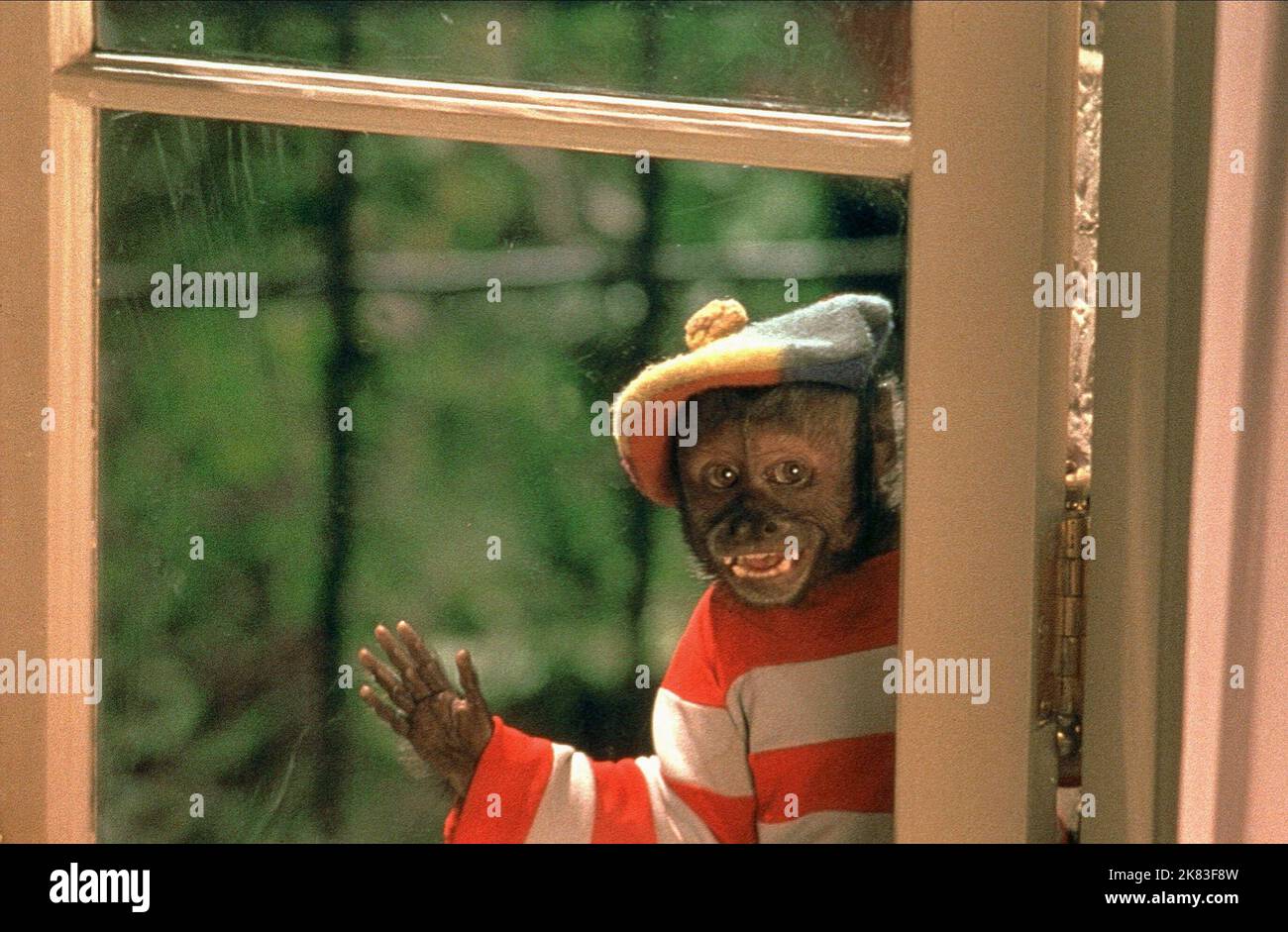 Dr dolittle 2 hi-res stock photography and images - Alamy