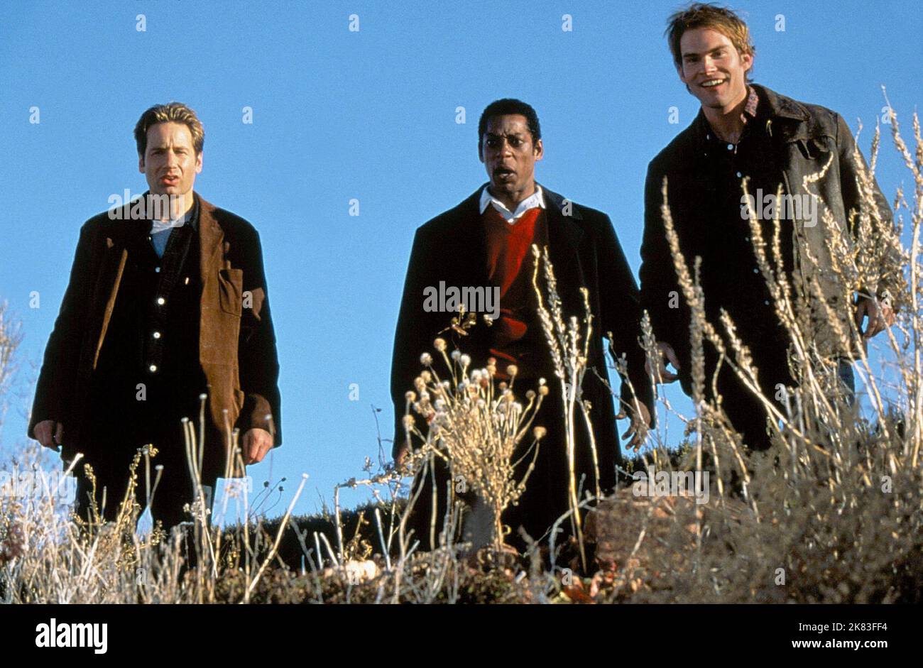 David Duchovny, Orlando Jones & Seann William Scott Film: Evolution ...