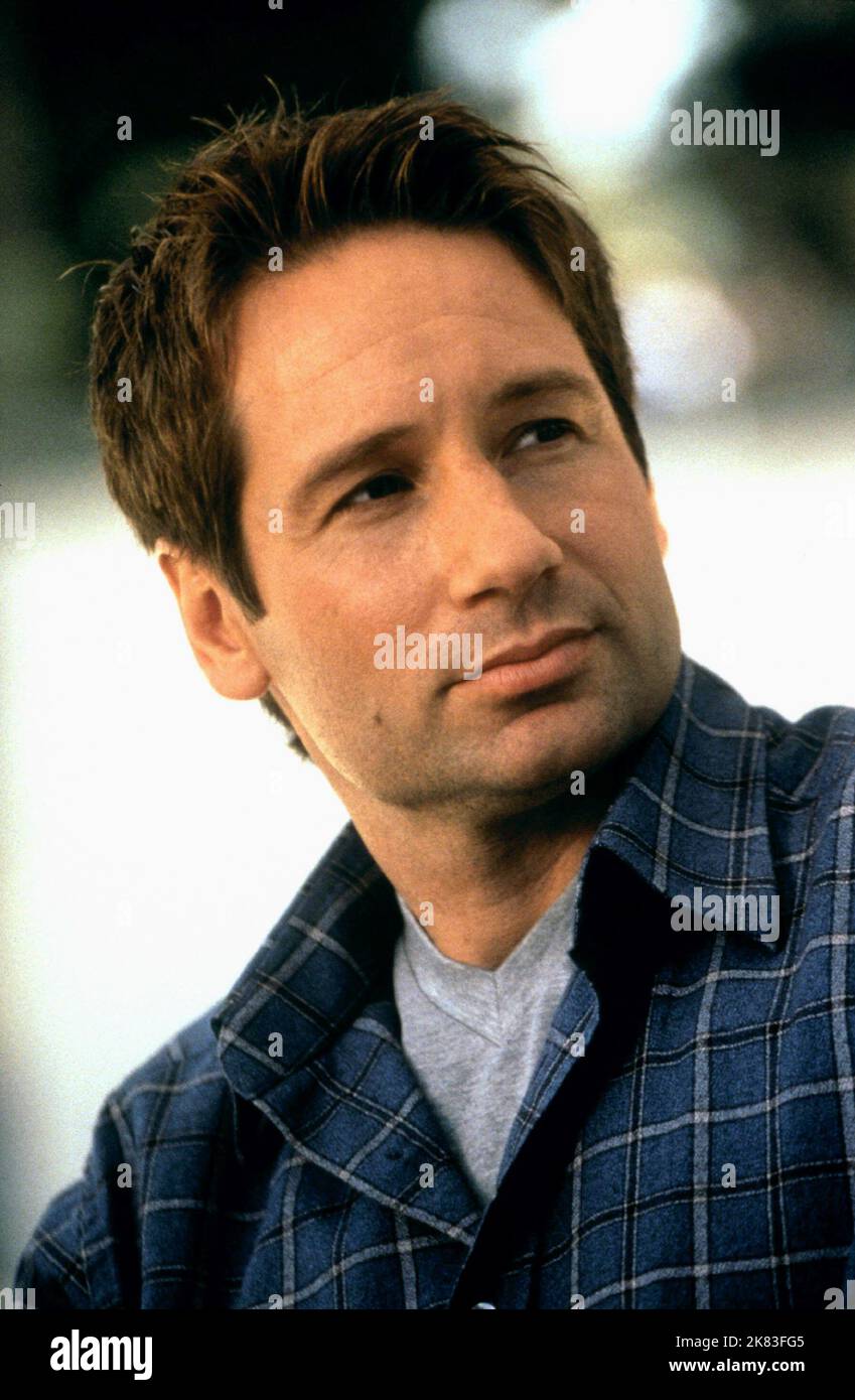 David Duchovny Film: Evolution (USA 2001) Characters: Ira Director ...
