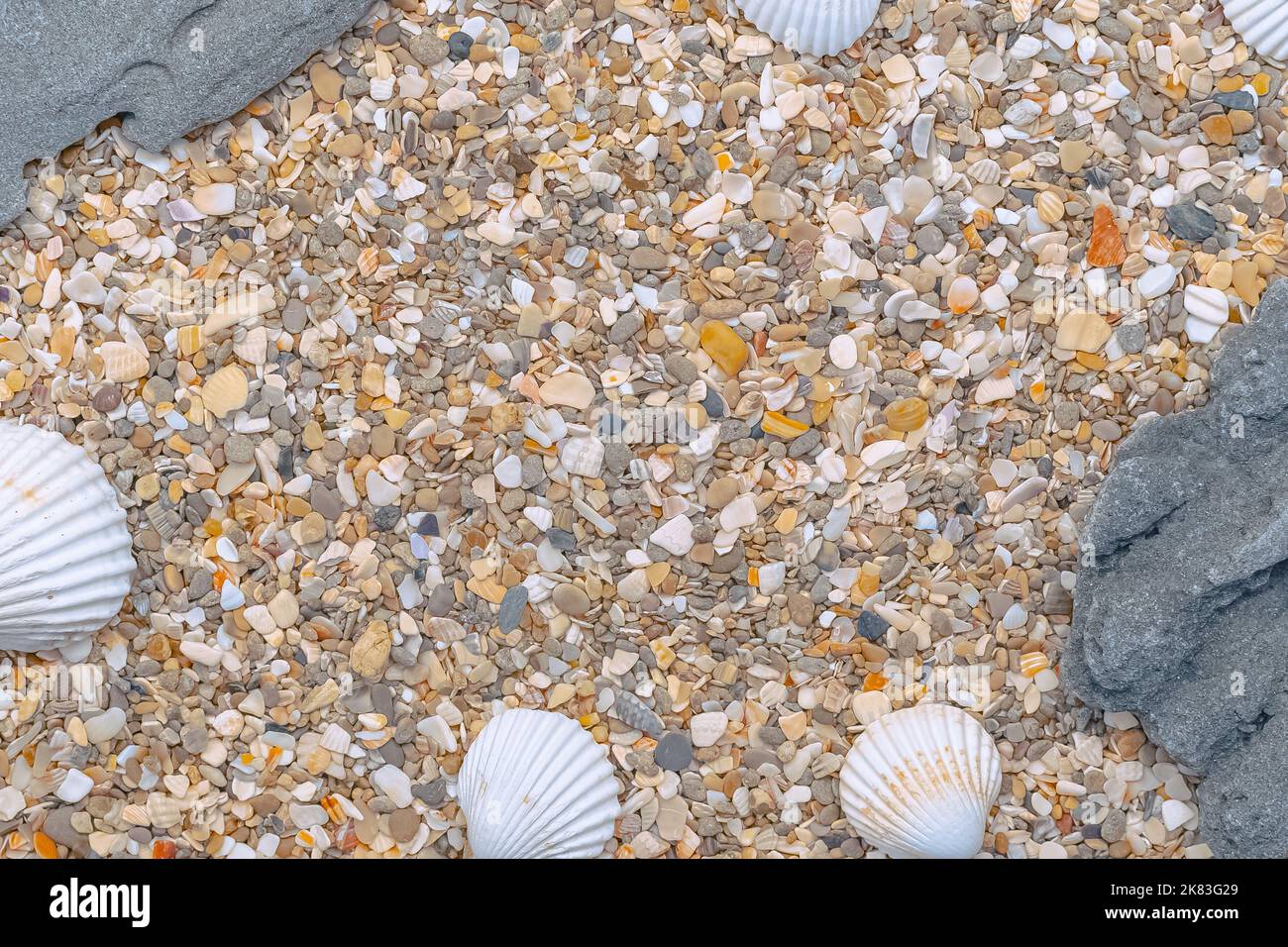 Broken sea shell close up hi-res stock photography and images - Alamy