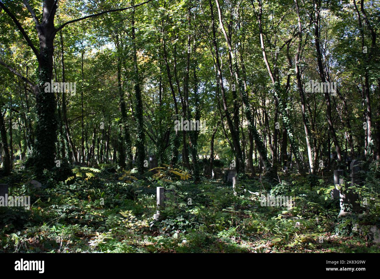 Fiumei cemetery hi-res stock photography and images - Alamy